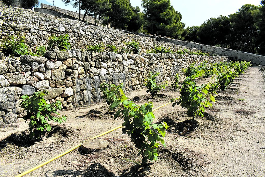 Les rutes Temps de Pansa donen a conèixer huit indrets de la ciutat de ...